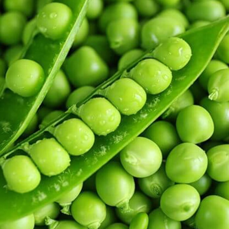 Peas - Tabi3y